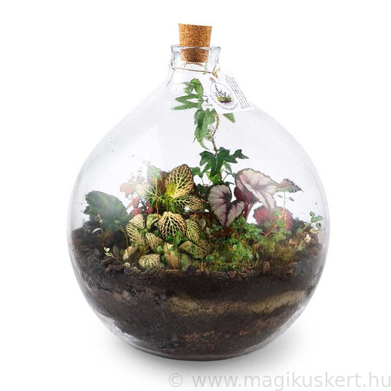 Kristályüveg florárium I Florárium webáruház