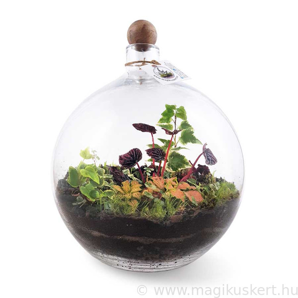 Kristályüveg florárium I Florárium webáruház